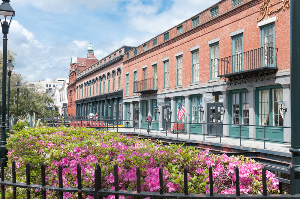 2 Nights in Savannah: Where to Play and Eat Gluten Free - Shine with JL