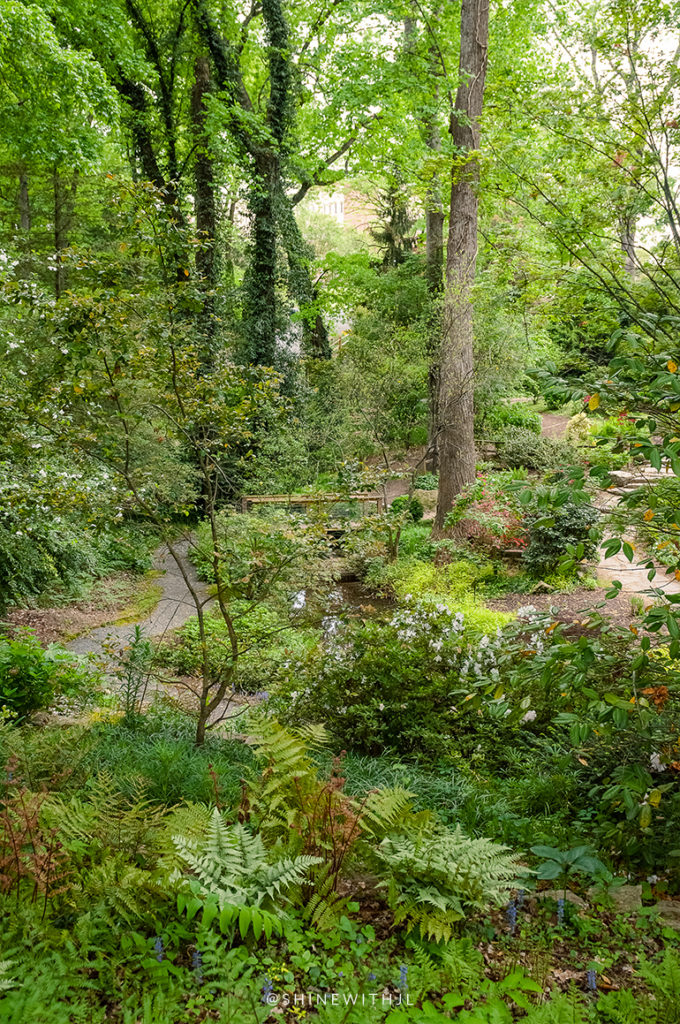 Things To Do In Charlotte: UNC Botanical Gardens - Shine with JL