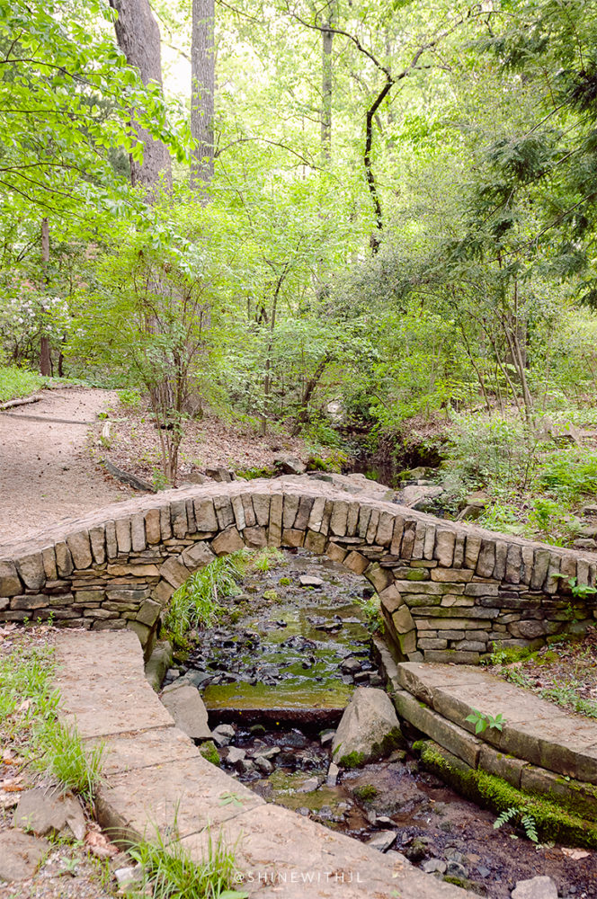 Things To Do In Charlotte: UNC Botanical Gardens - Shine with JL