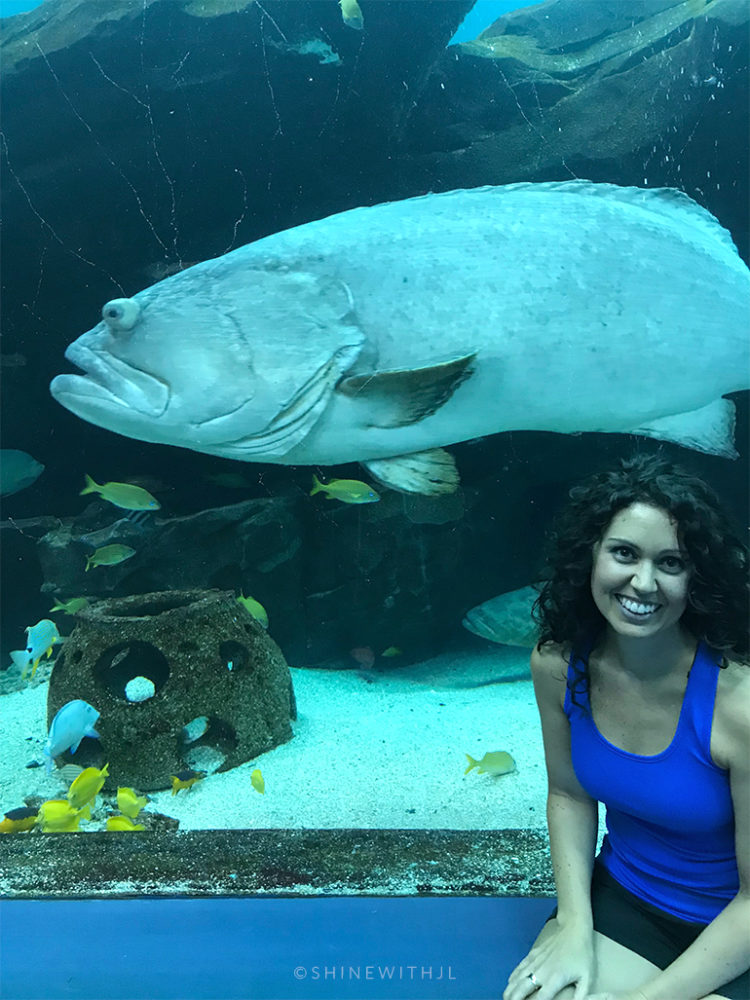 5 Days In Atlanta: Where To Stay and Play - Shine with JL