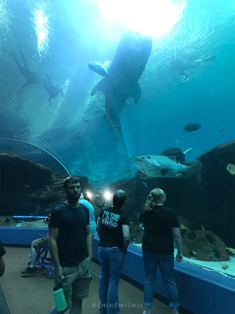 5 Days In Atlanta: Where To Stay and Play - Shine with JL