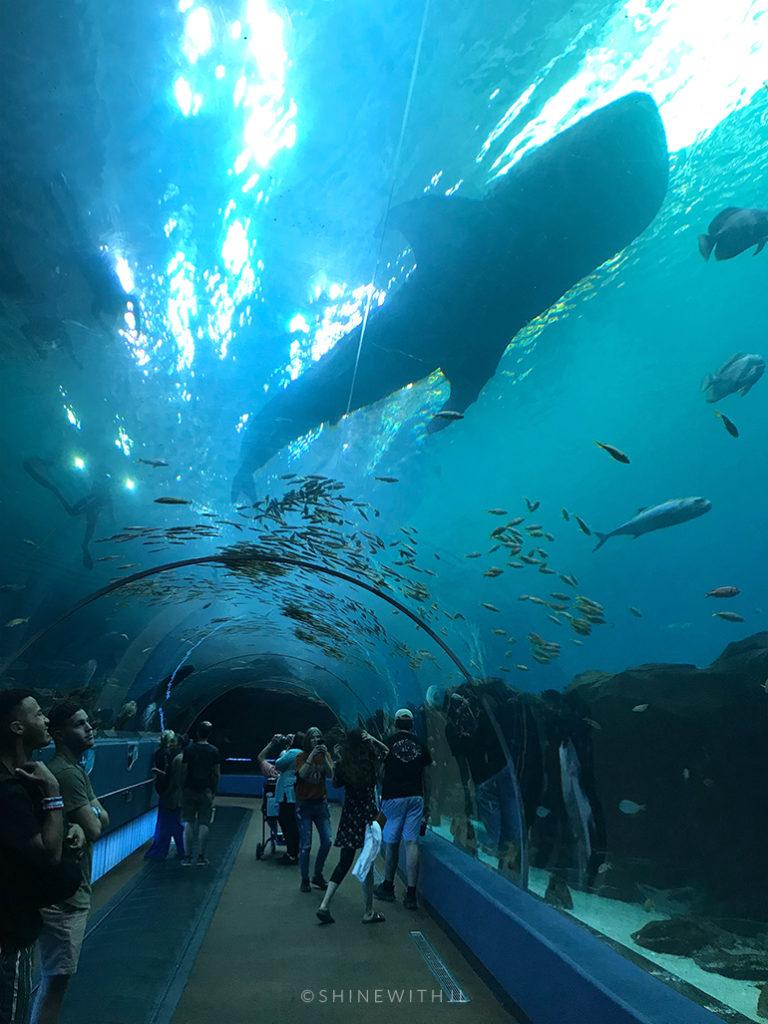 5 Days In Atlanta: Where To Stay and Play - Shine with JL