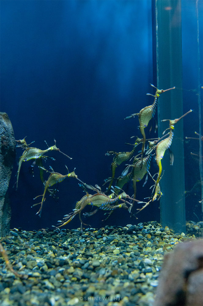 5 Days In Atlanta: Where To Stay and Play - Shine with JL